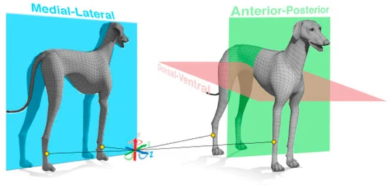 Gaitkeeper | Jack W. O'Sullivan